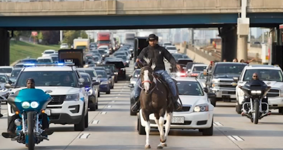 “Dreadhead Cowboy” Rides Horse on Chicago’s Dan Ryan - Gematrinator 85