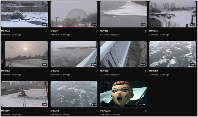 ICE Agent Shoots, Kills Woman Named 'Renee Nicole Good' in Minneapolis ...